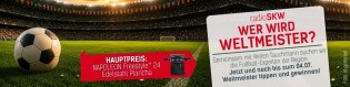 radioSKW - 1x Grill „Napoleon Freestyle 24 Edelstahl Plancha“, 1x ...