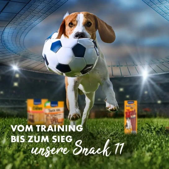 Vitakraft - 1.000 Fan-Pakete im Deutschland-Design