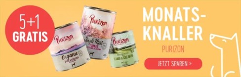 ᐅ 16 € bitiba Gutschein & 5 % Rabatt (Mai 2024)